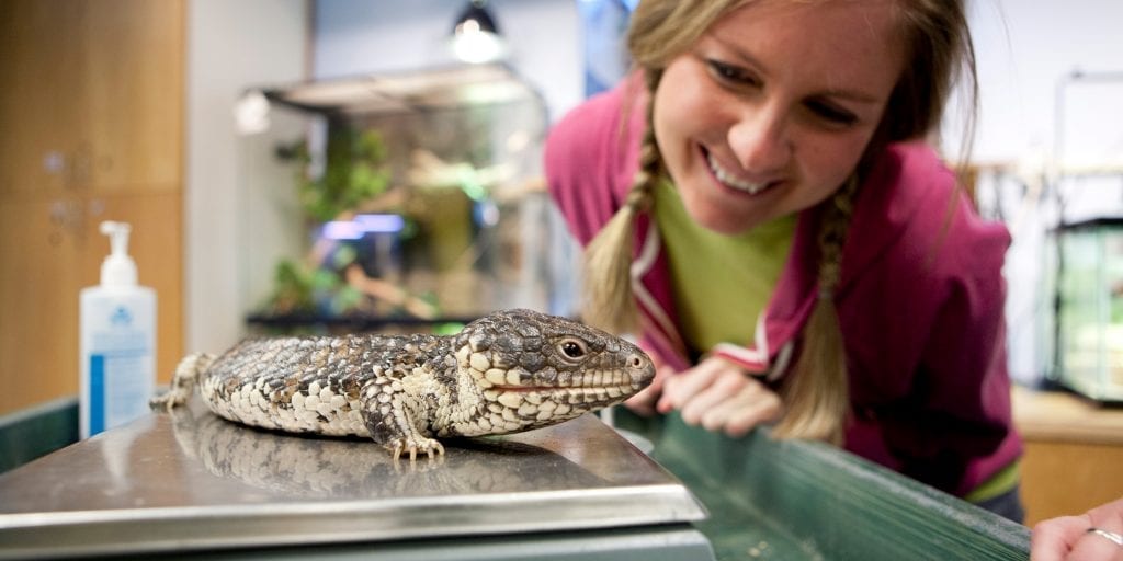 School Field Trips & Programs - Denver Zoo