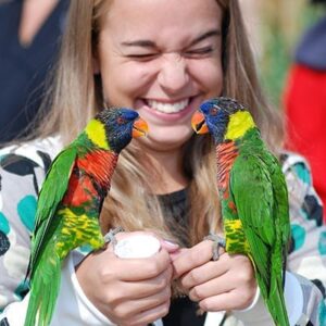 Lorikeet - Denver Zoo Conservation Alliance