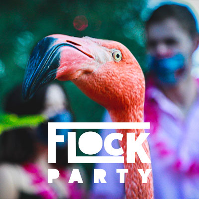 Flock Party 2021 - Denver Zoo