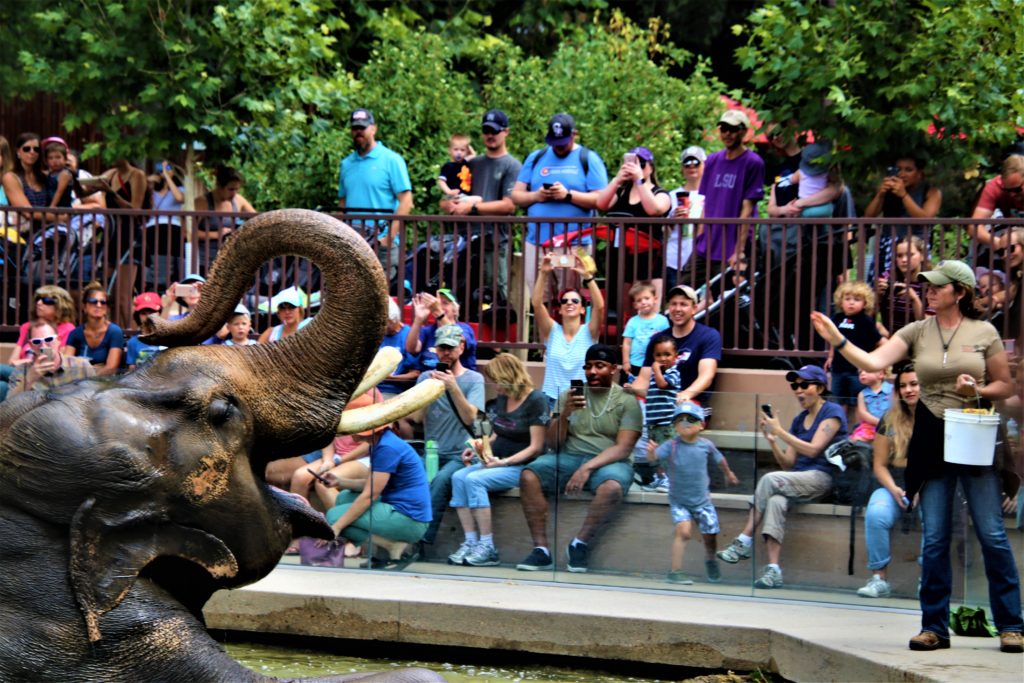 Hours + Admission - Denver Zoo Conservation Alliance