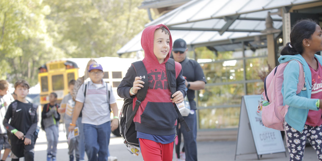 Green Tree Python - Denver Zoo Conservation Alliance