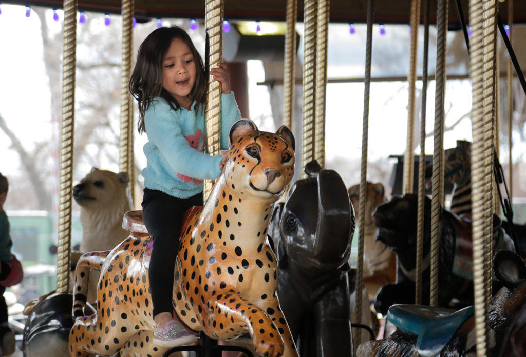 Best Day at the Zoo - Denver Zoo