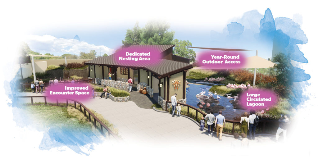 Join Our Flock - Denver Zoo