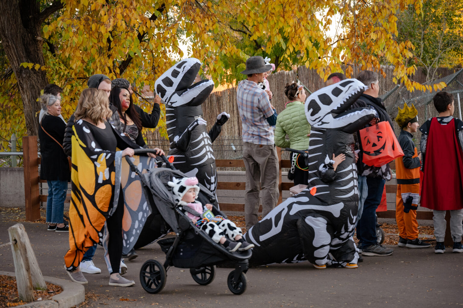 Annual Report - Denver Zoo