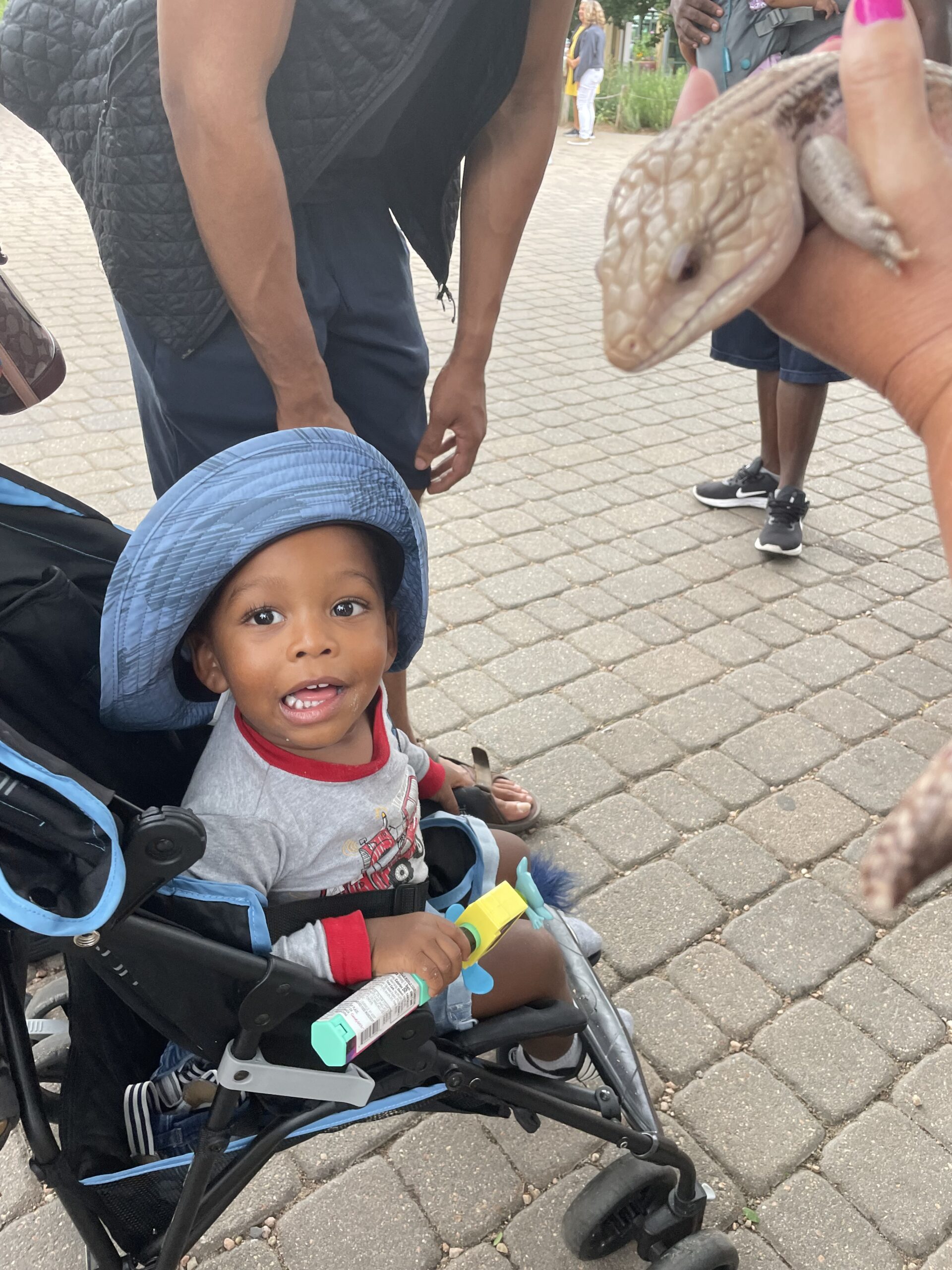 Dream Night Photo Gallery - Denver Zoo