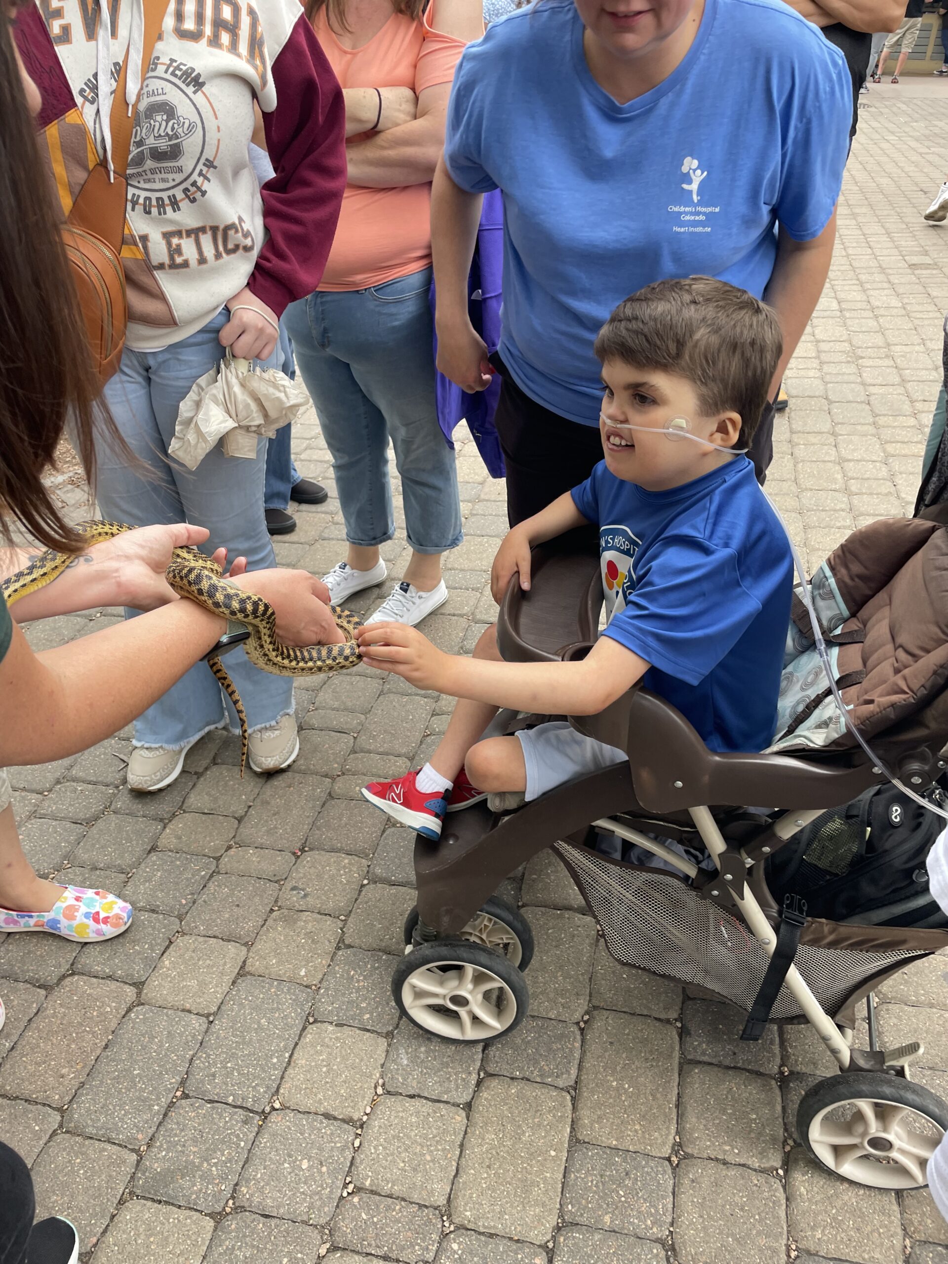 Dream Night Photo Gallery - Denver Zoo