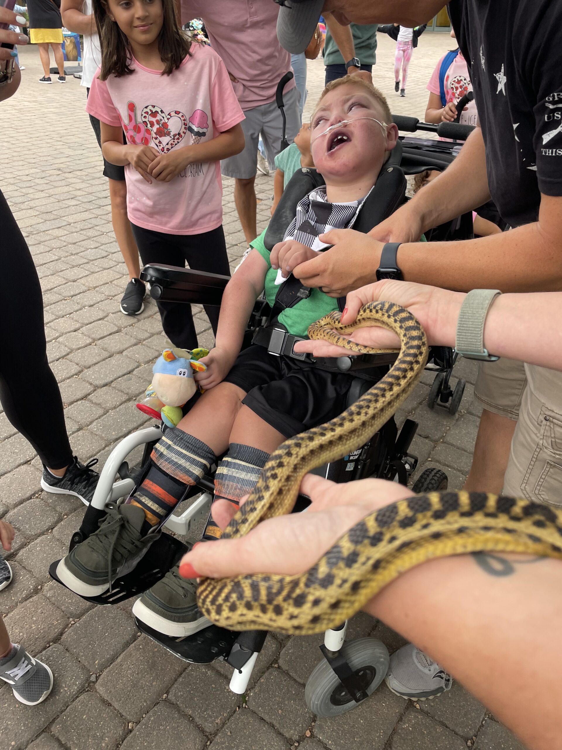 Dream Night Photo Gallery - Denver Zoo