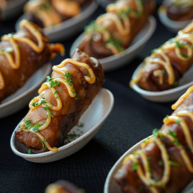 Flock Party - Denver Zoo Conservation Alliance