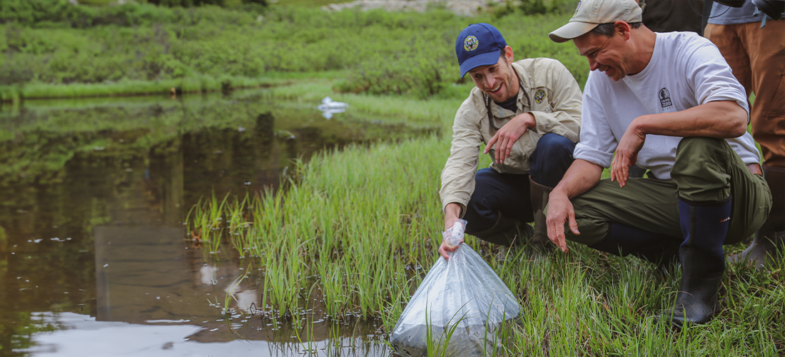 Field Conservation - Denver Zoo Conservation Alliance