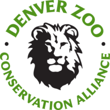 Green Tree Python - Denver Zoo Conservation Alliance