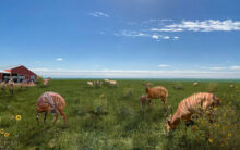 Lembke Family Preserve - Denver Zoo Conservation Alliance