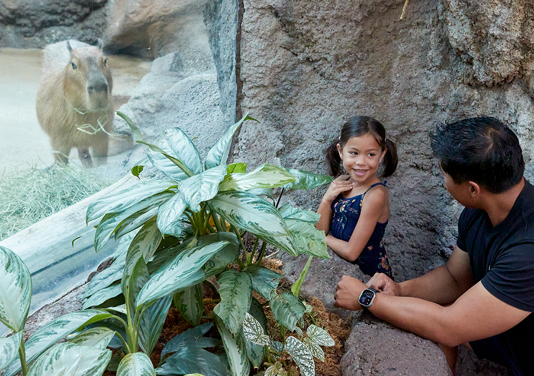 Tropical Discovery - Denver Zoo Conservation Alliance