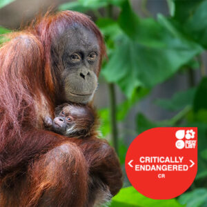 Annual Report 2023 - Denver Zoo