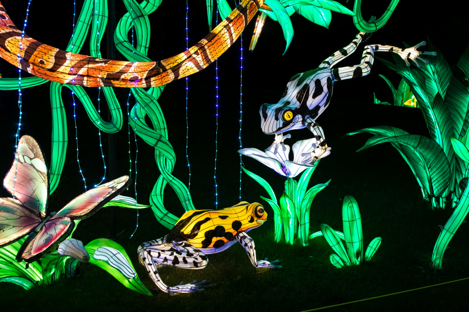 Glowing Wild - Denver Zoo Conservation Alliance