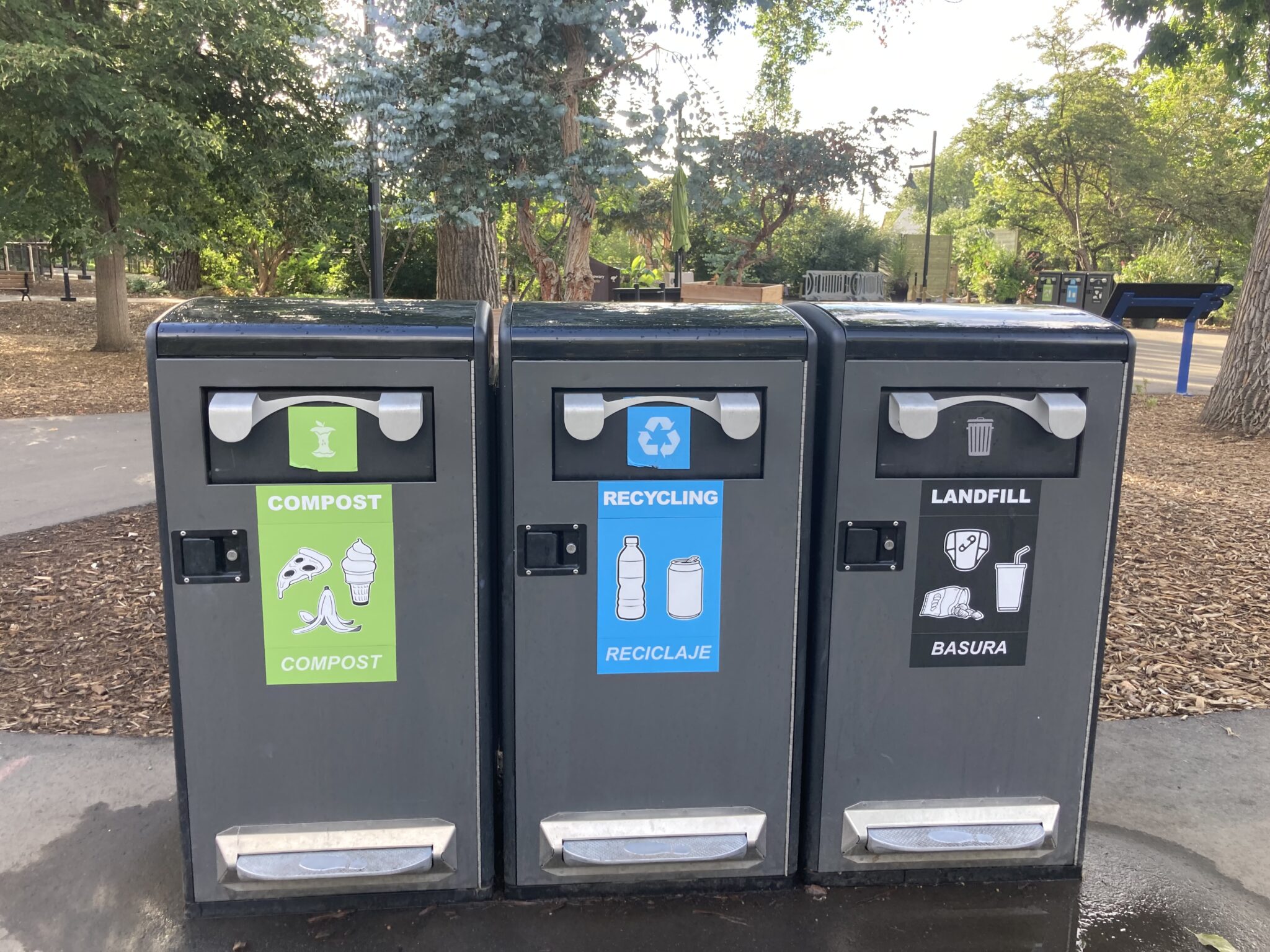 Sustainability in Action: DZCA's Commitment to a Greener Future ...