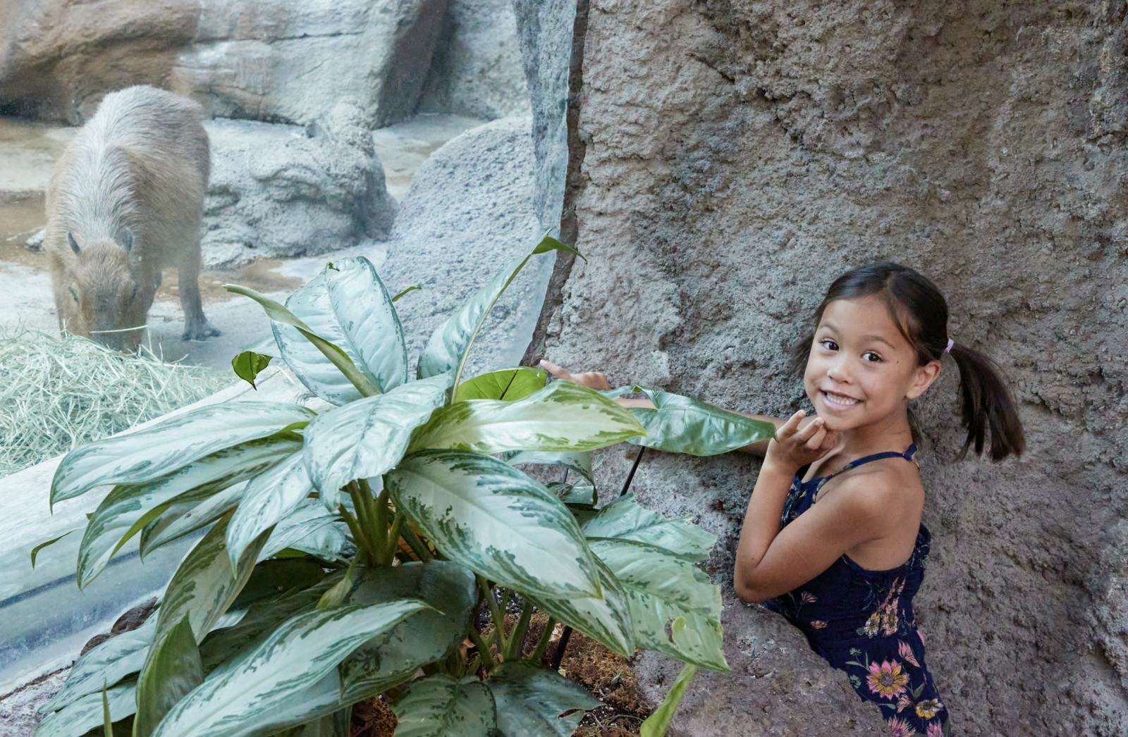 Sustainability in Action: DZCA's Commitment to a Greener Future ...