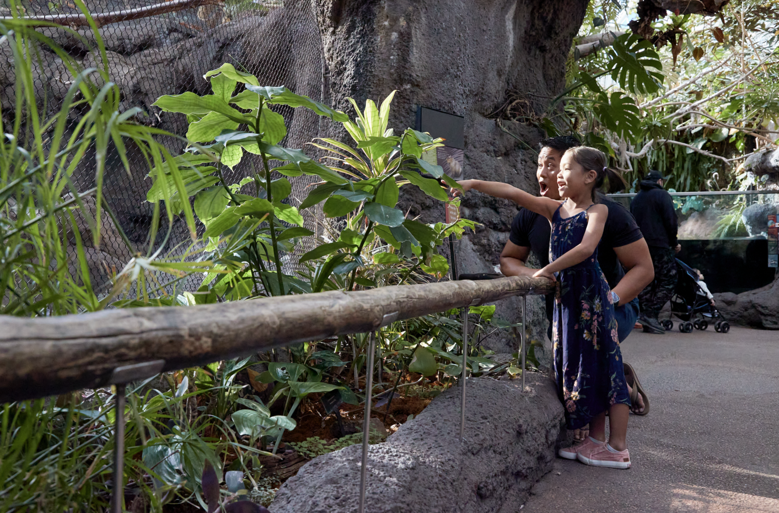 Sustainability in Action: DZCA's Commitment to a Greener Future ...