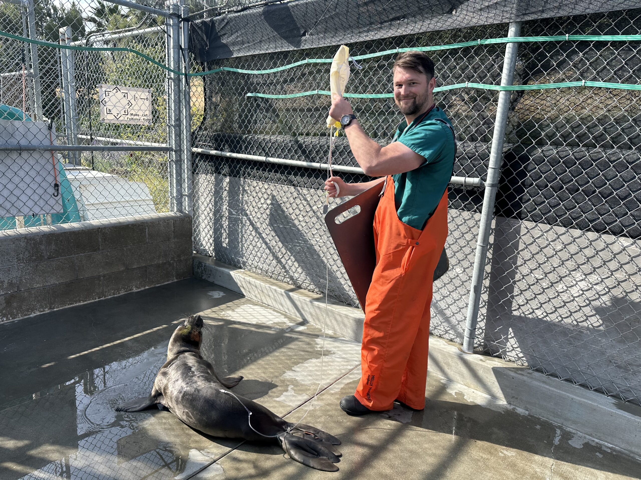 From CO to CA: DZCA Experts Support Marine Mammals in Crisis - Denver ...
