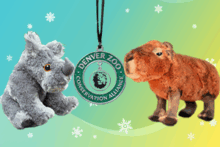 Green Tree Python - Denver Zoo Conservation Alliance