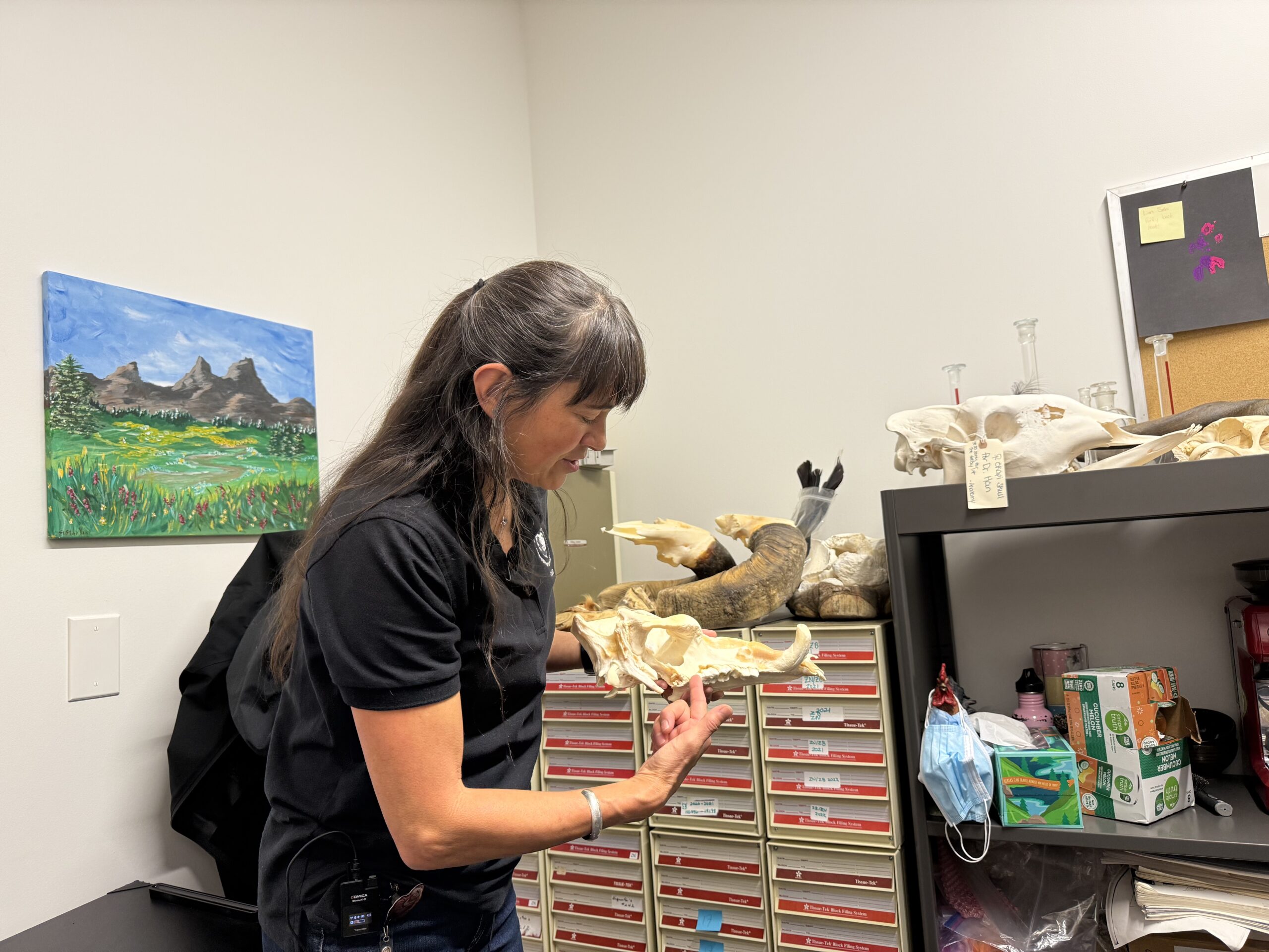 Life After Death: A Look into DZCA’s Unique Pathology Program - Denver ...