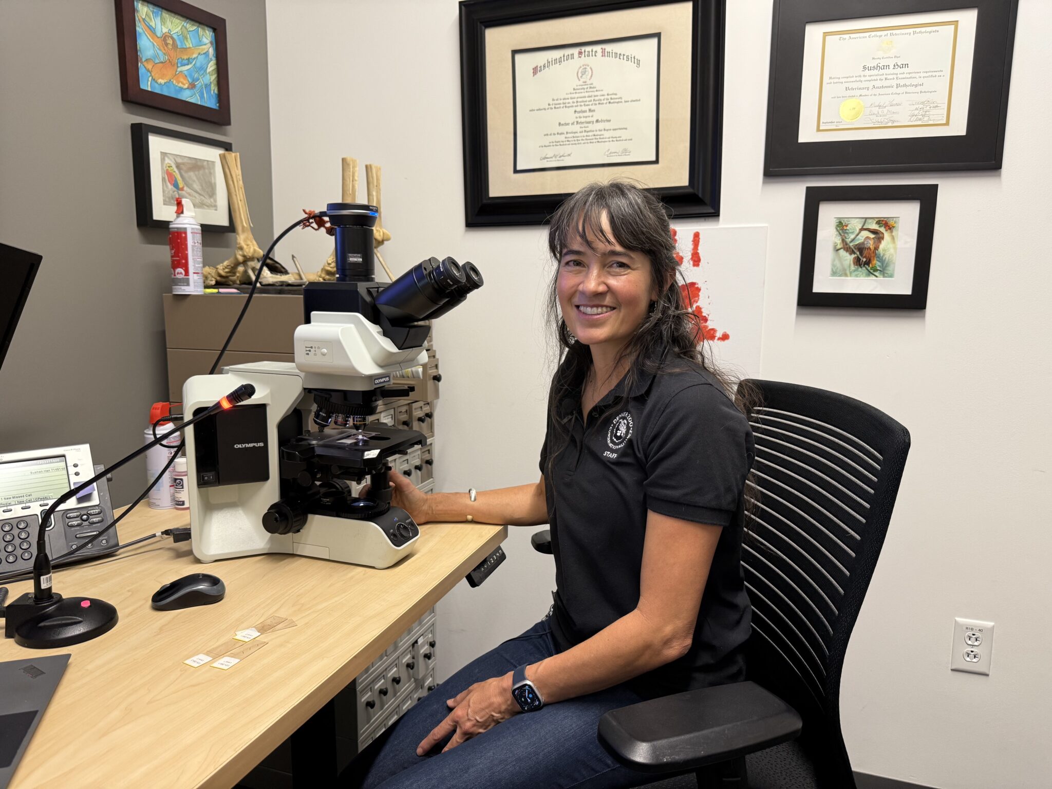 Life After Death: A Look into DZCA’s Unique Pathology Program - Denver ...