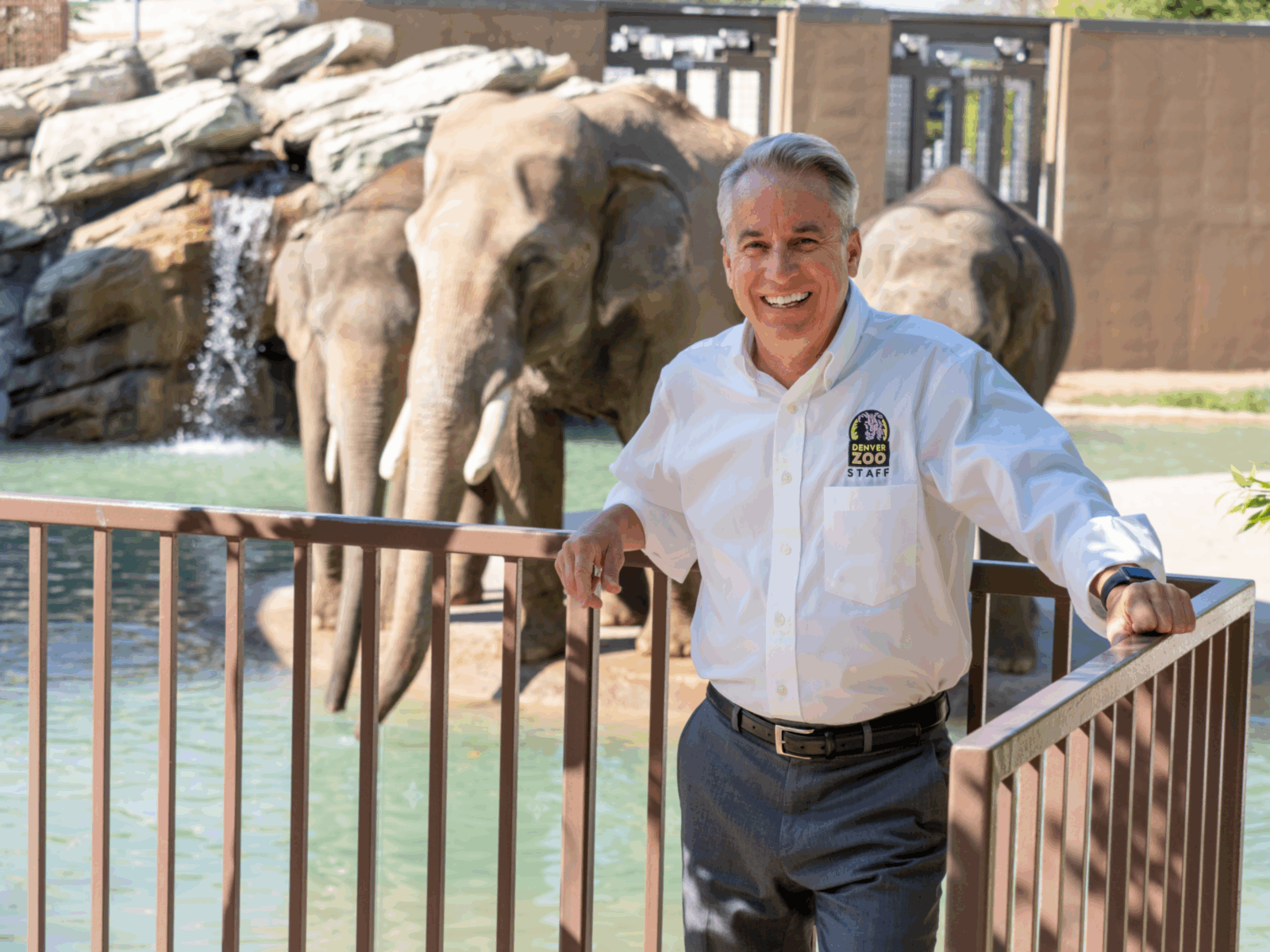 DZCA President & CEO Announces Departure After 7 Successful Years ...